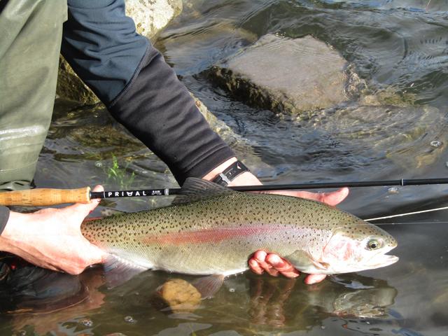 Team Tuesday - Adam Priest – Manic Tackle Project