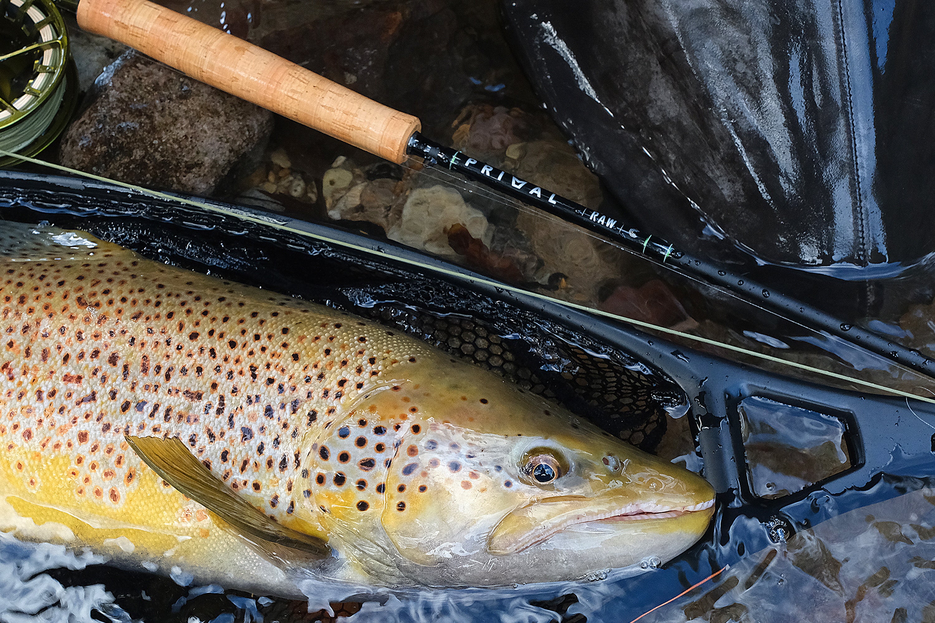 Review | Primal Raw CCC 10’ #6 Fly Rod – Manic Tackle Project