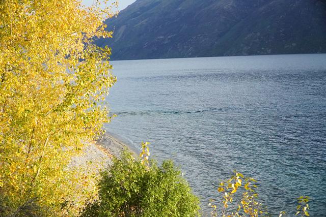 Friday Fly Day - Bloody Good Buggers You Need To Meet – Manic Tackle ...