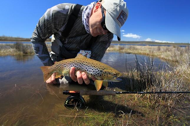 Craig Rist and the Gum Beetles – Manic Tackle Project
