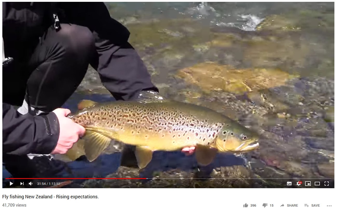 Mike Kirkpatrick - Rising Expectations – Manic Tackle Project