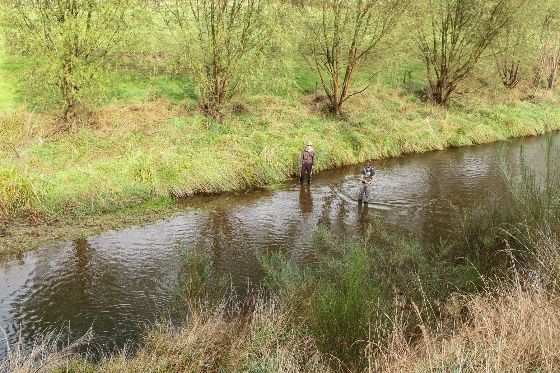 Fly Fishing New Zealands Lowland Streams – Manic Tackle Project