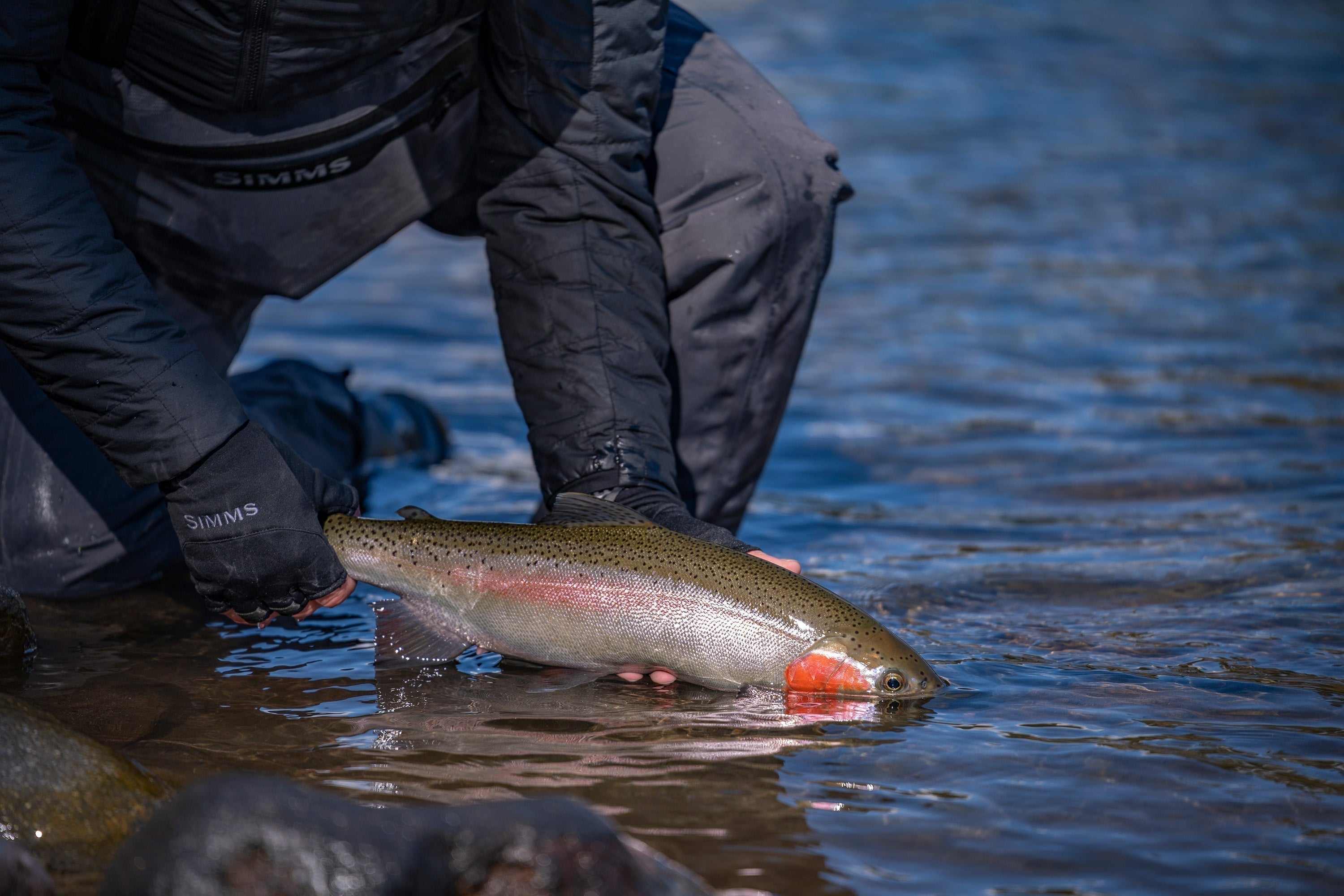 Simms Flyweight Packable Waders. The Most Packable Waders Ever Made ...