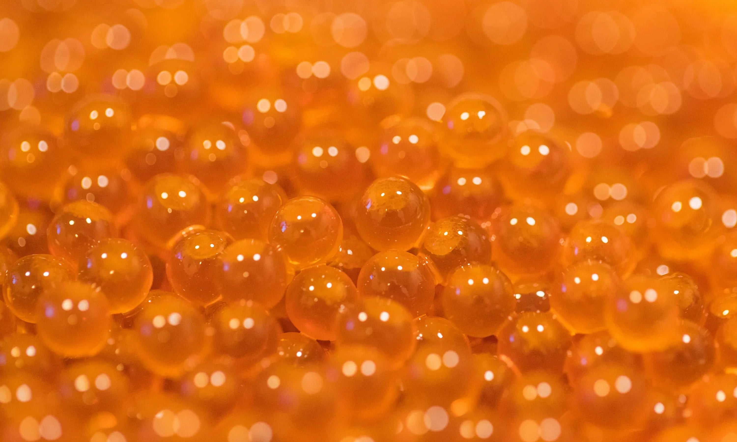 Winter Egg Patterns for Fly Fishing – Manic Tackle Project