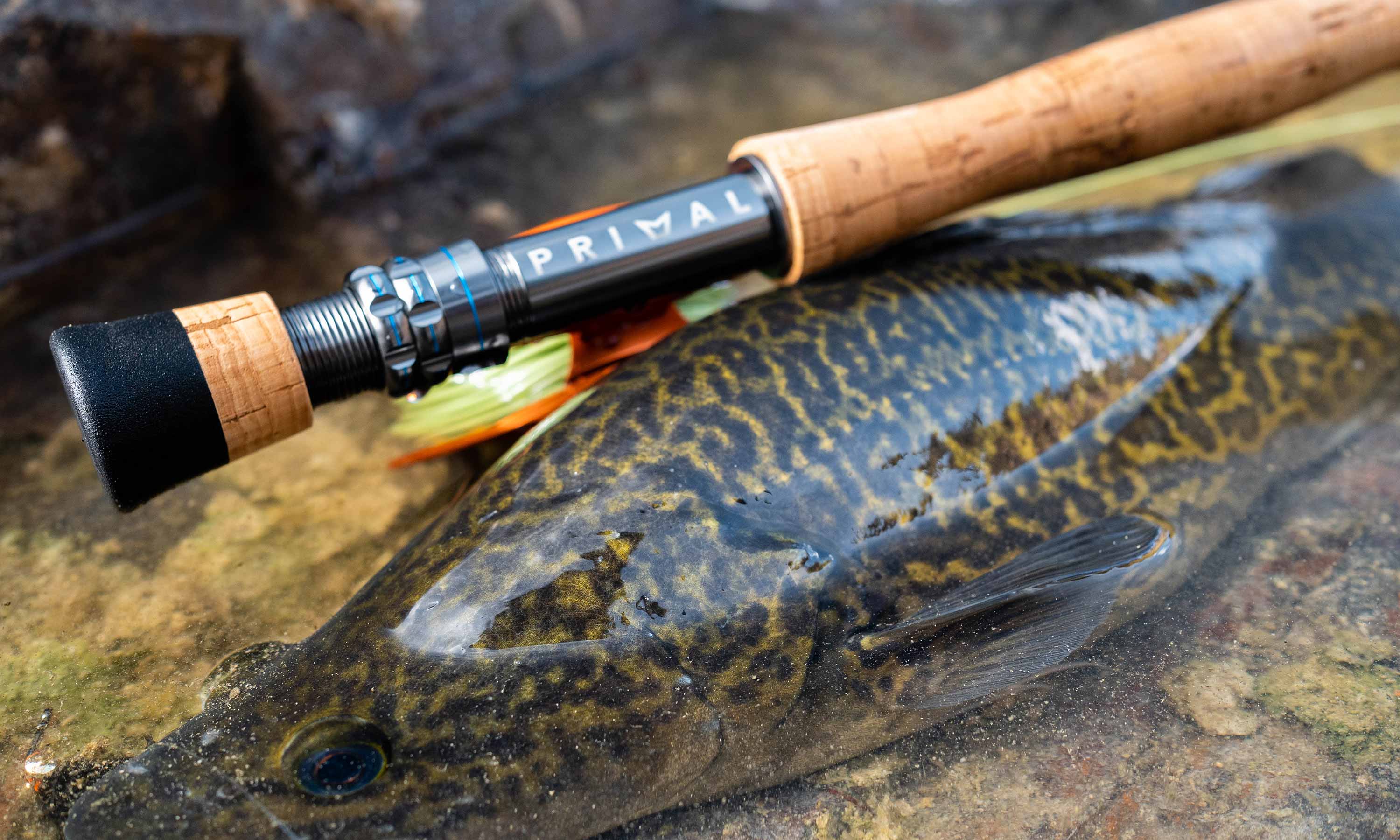 Primal MEGA CCC Fly Rod | Pro Review – Manic Tackle Project