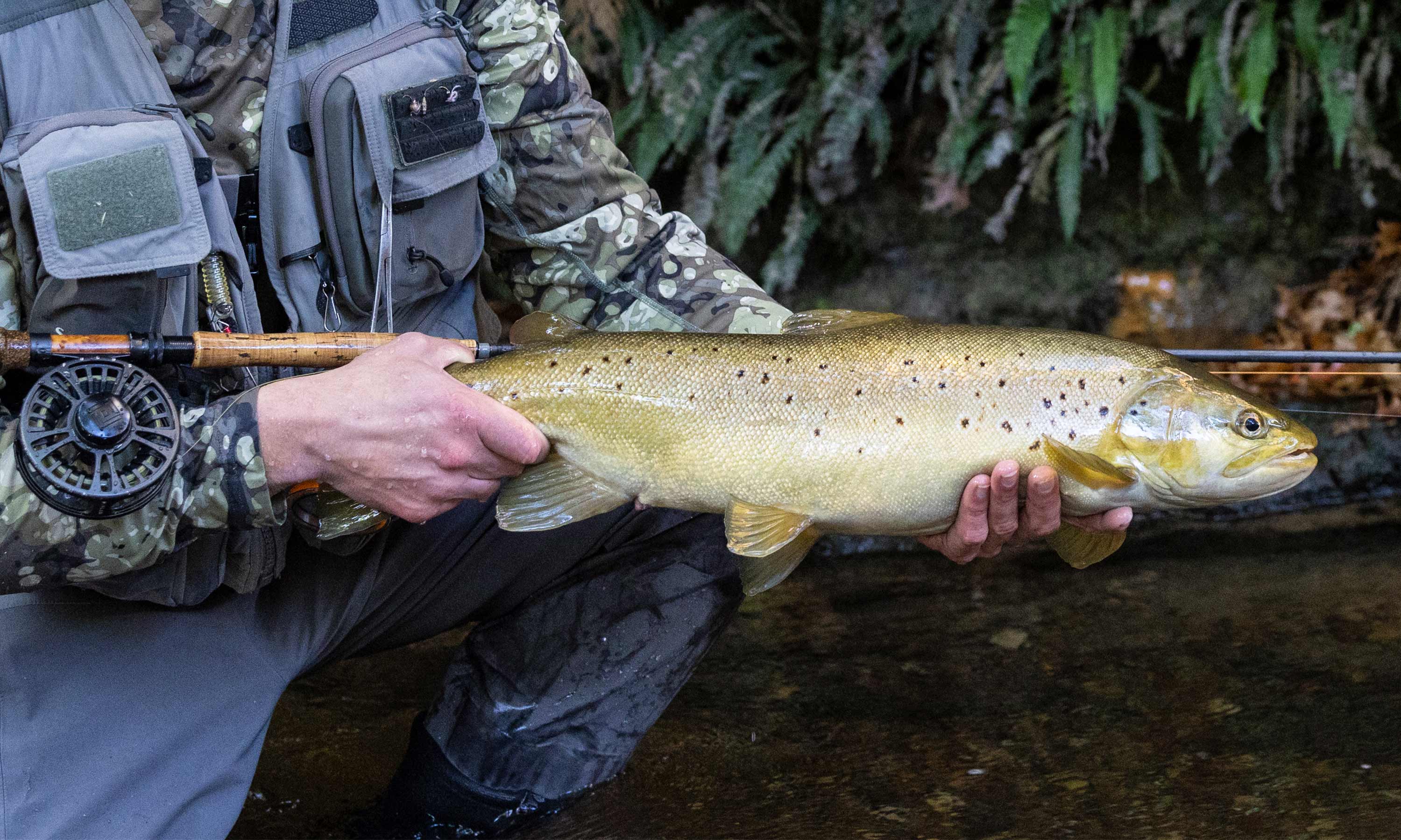 Fly Rod Review | Primal Zone 963/4 – Manic Tackle Project