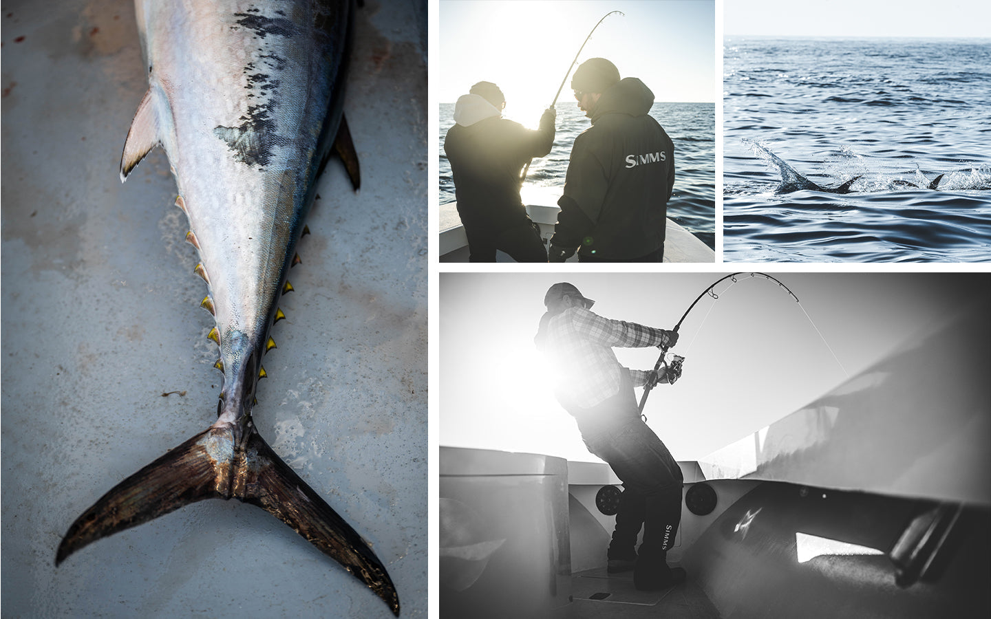 Southern Bluefin Season Is On – Manic Tackle Project