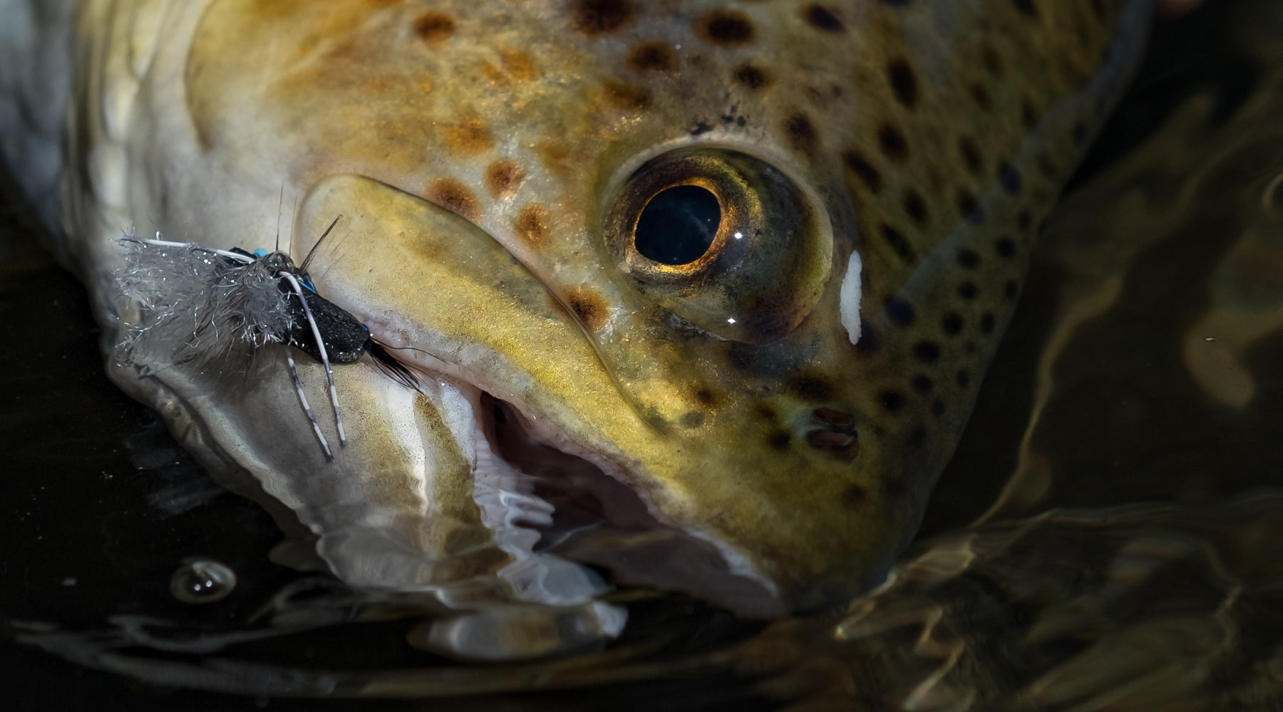 Manic Fly Collection | NZ Designed Fly Fishing Flies – Manic Tackle Project