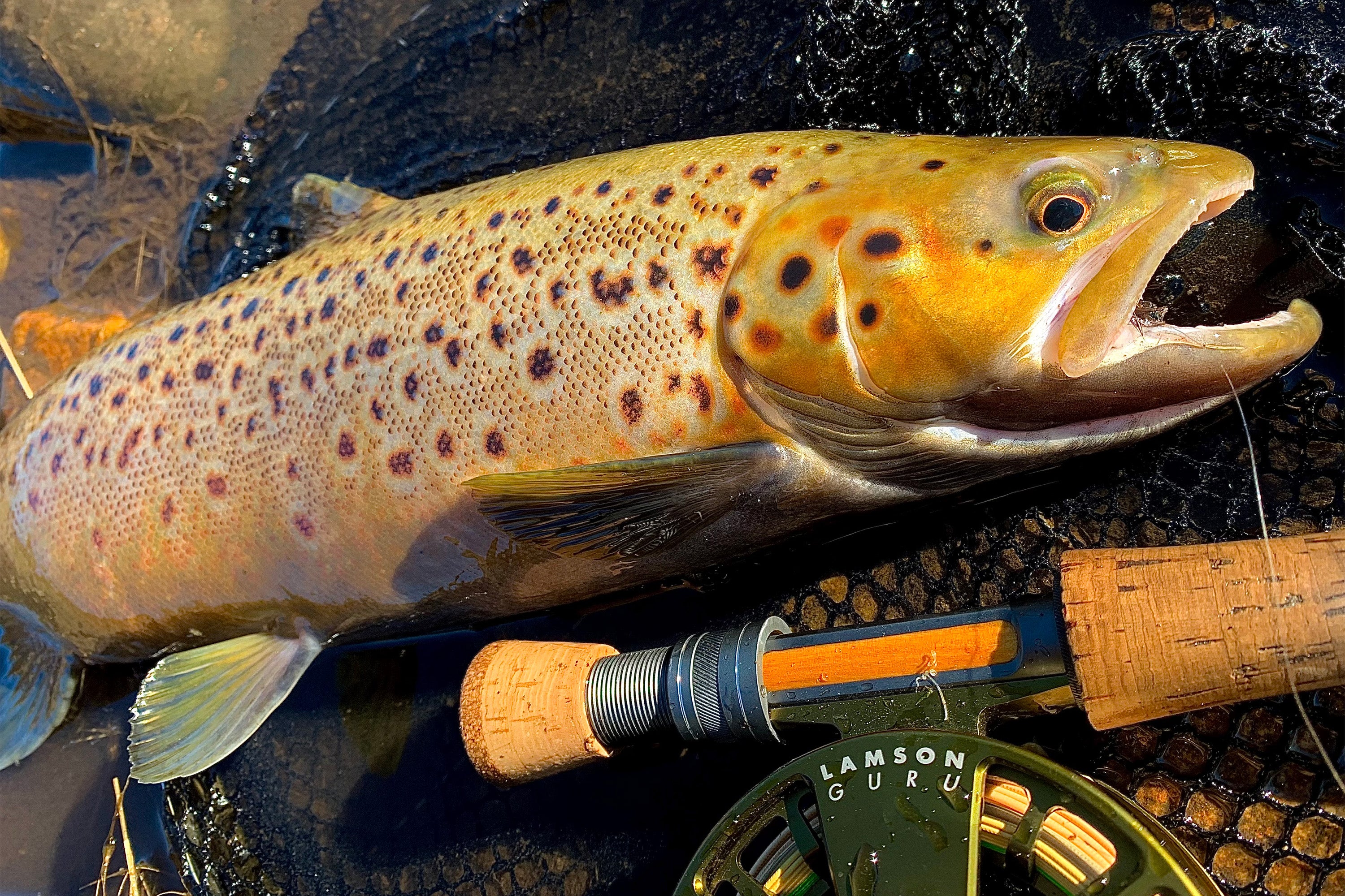 Simms | Trout Camo – Manic Tackle Project