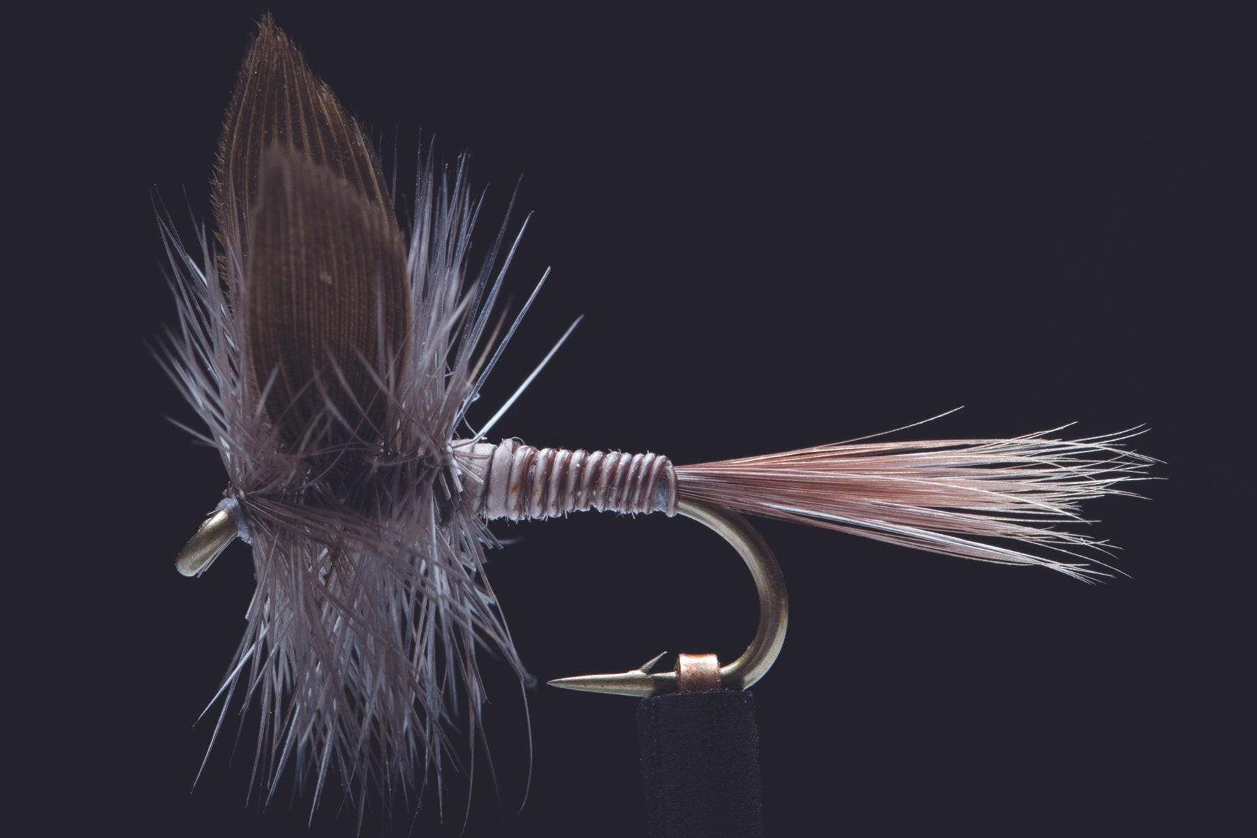 Blue Quill Fishing Fly | Manic Fly Collection – Manic Tackle Project