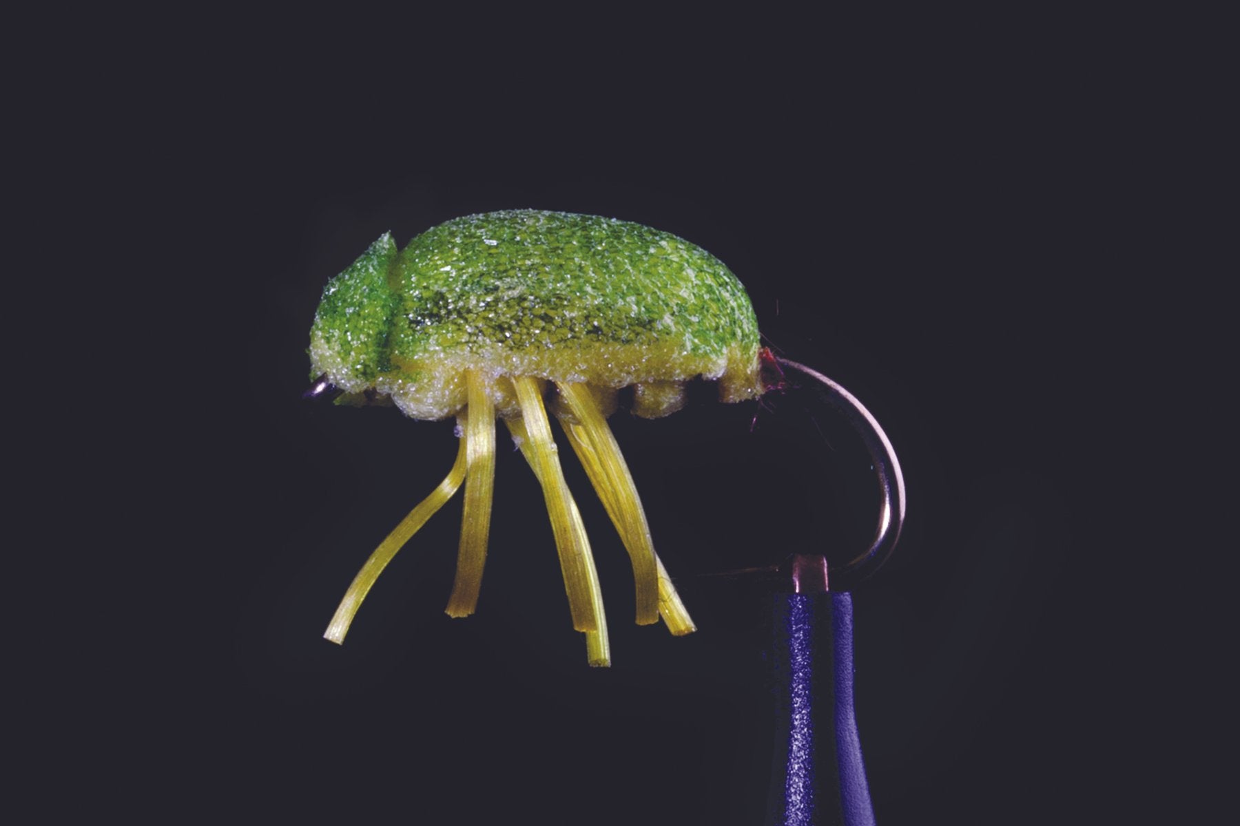 Great Lakes Gum Beetle Fishing Fly | Manic Fly Collection – Manic ...