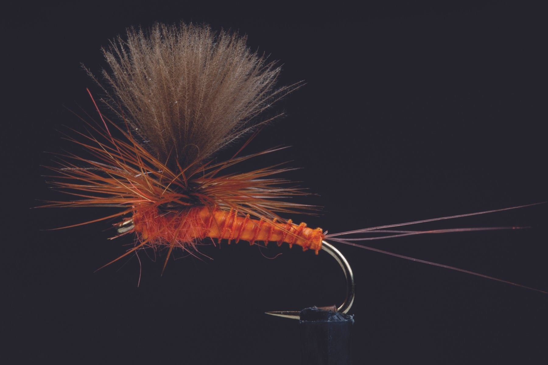 Quill Spinner Rusty Fishing Fly | Manic Fly Collection – Manic Tackle ...
